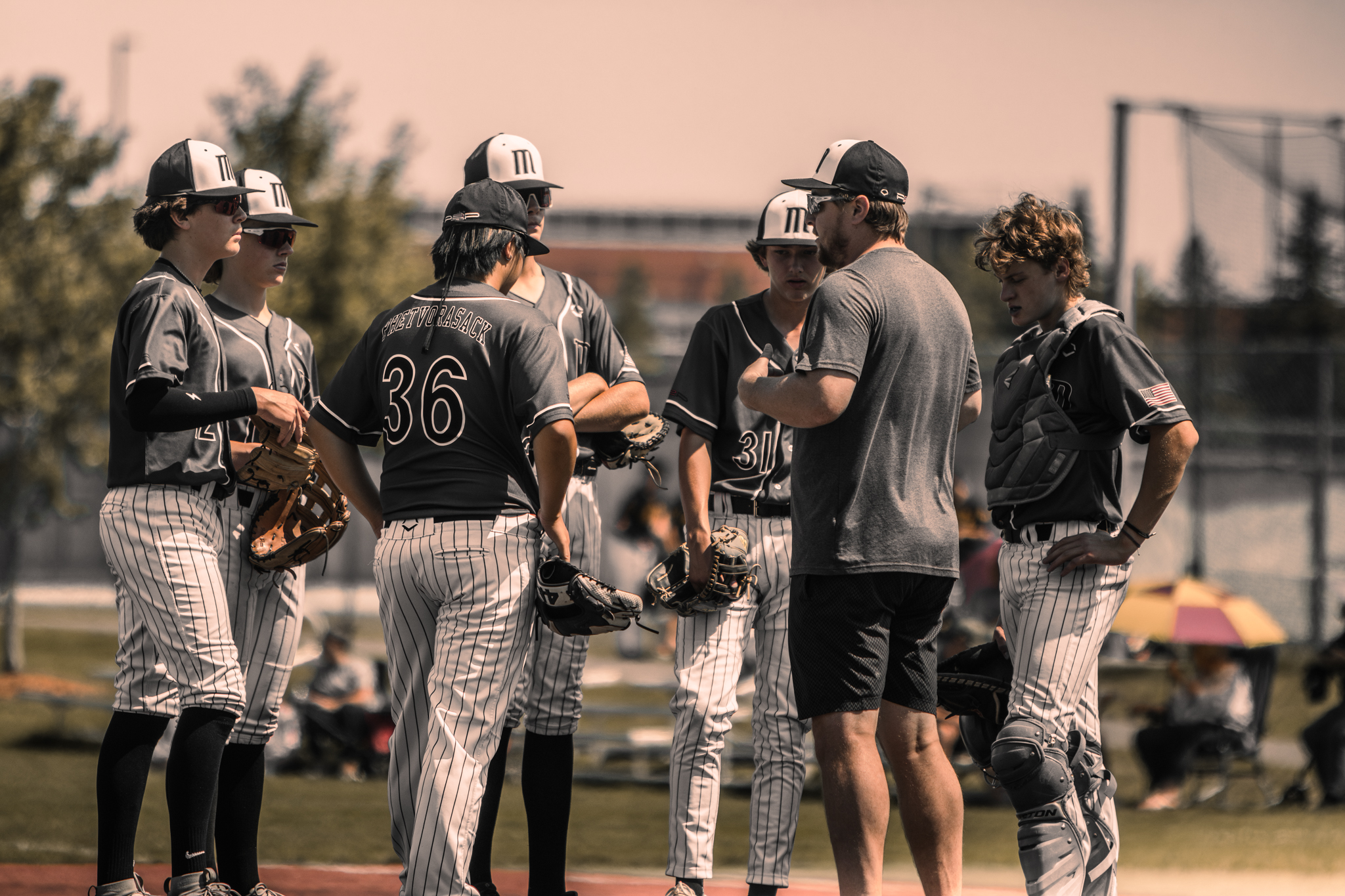 Home - Pitch 2 Pitch